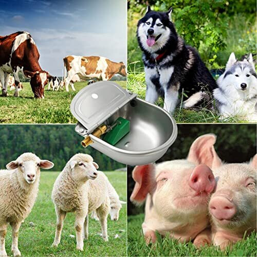 Automatic Cattle Water Bowls with Float Valve Stainless Steel Horse ...