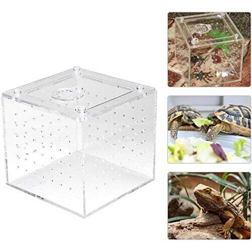 Acrylic Reptile Breeding Box Transparent Live Food Storage Insect ...