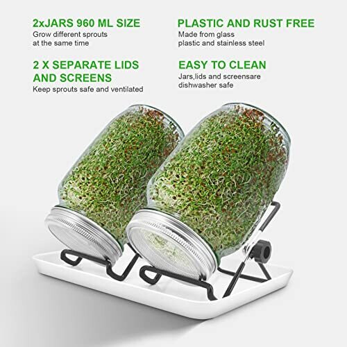 Sprouting Jar Kit 2Pcs Seed Sprouter Kit Indoor Seed Sprouterwith ...