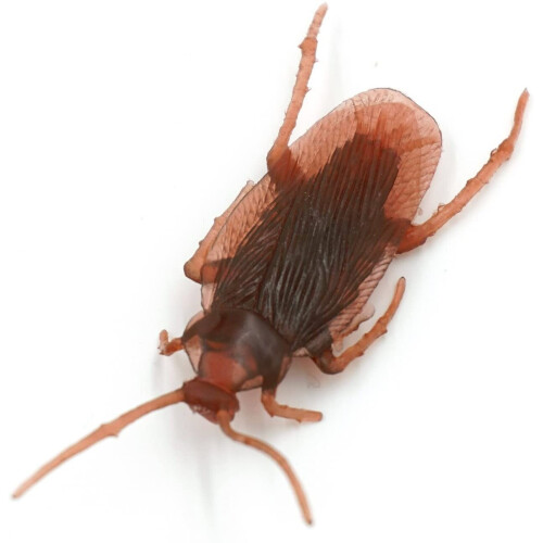 10pcs Vintage Mock Fake Plastic Roach Cockroach Insects Joke Toys Prank ...