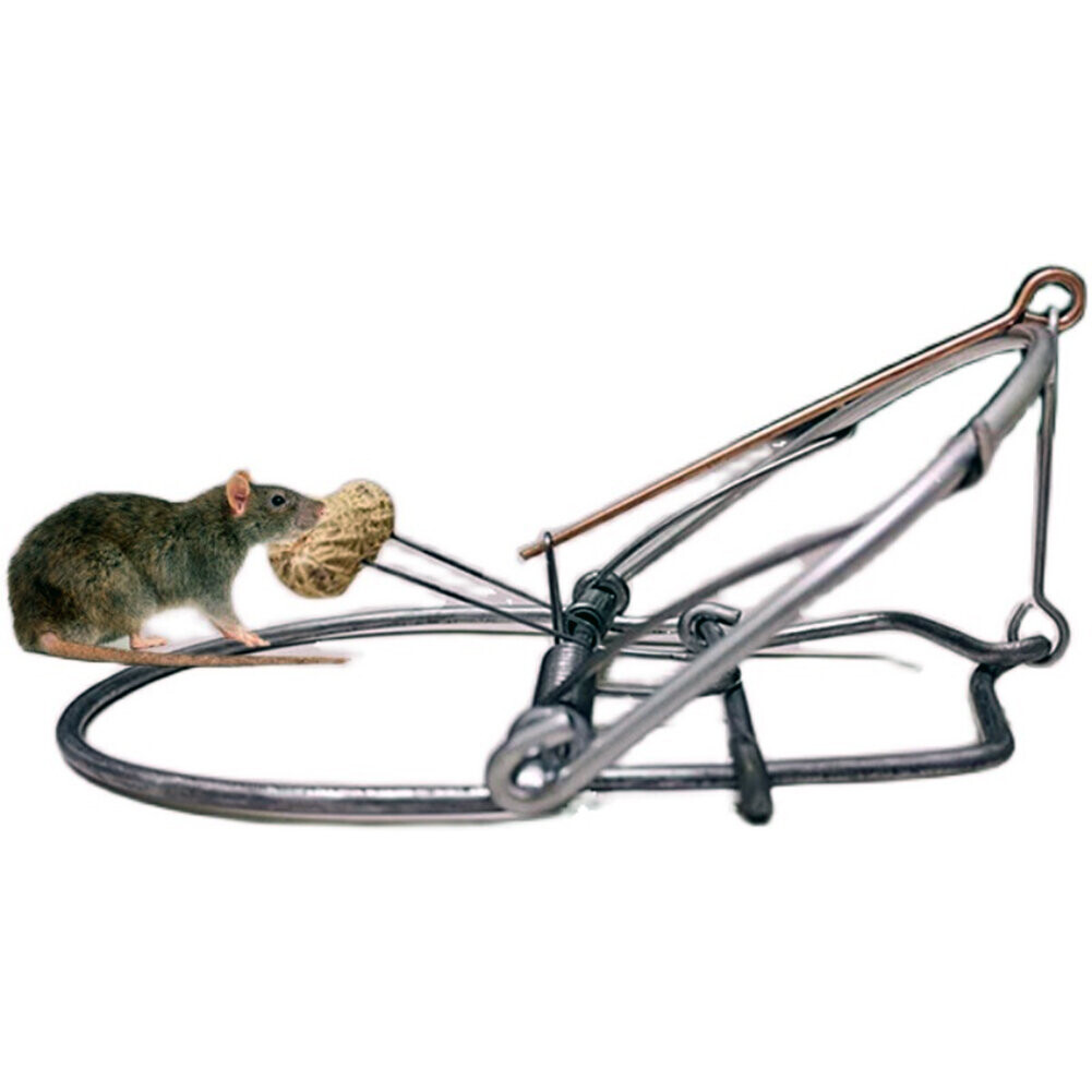 Metal Mouse Trap Spring Rat Weasel Catch Snap Trap Mice Weasel Catch ...