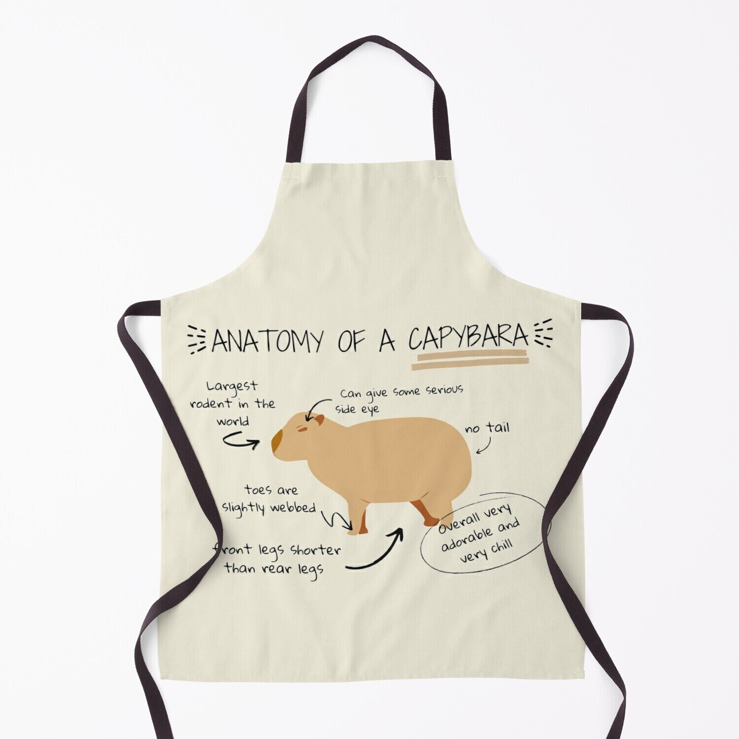 Anatomy of a capybara Grill Aprons for Kitchen BBQ Chef on OnBuy