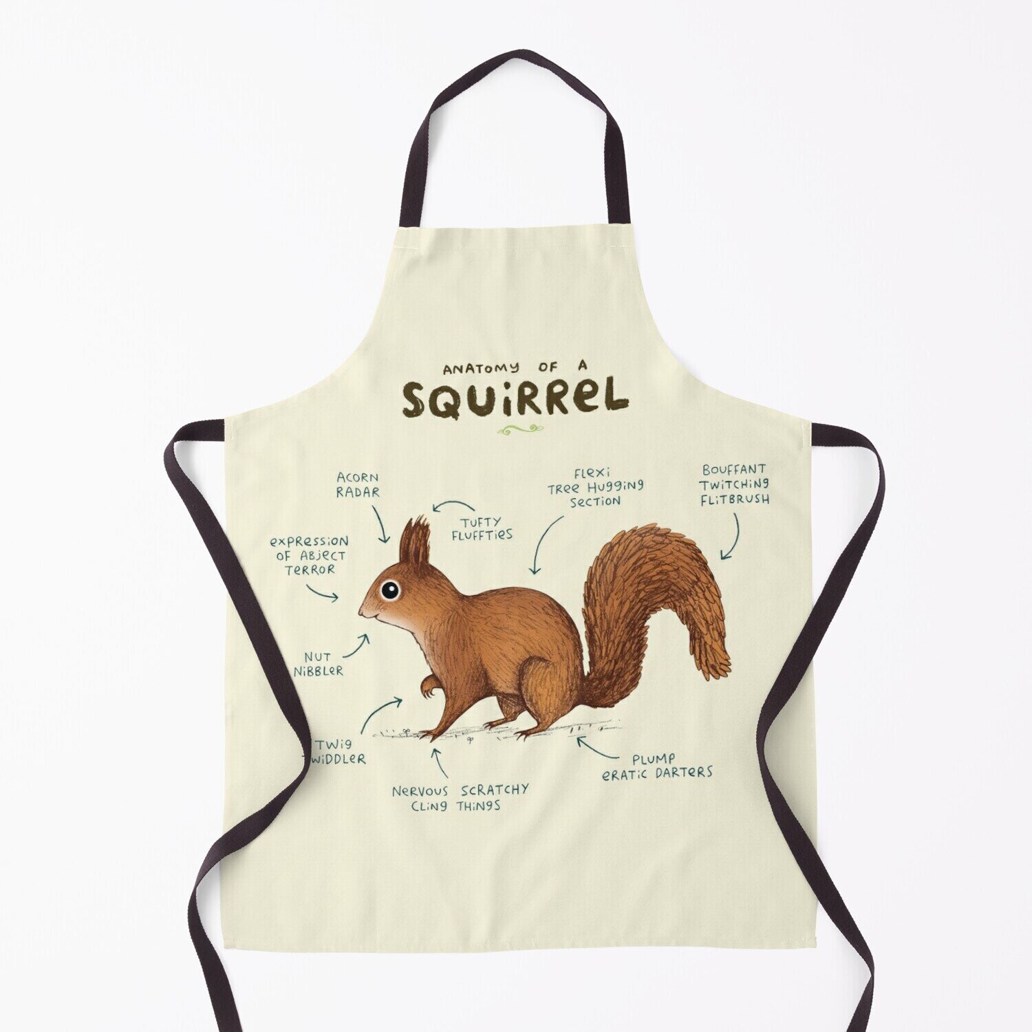 Anatomy of a Squirrel Grill Aprons for Kitchen BBQ Chef on OnBuy