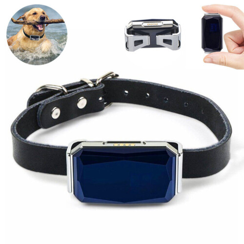 ASLOCATE G12 Crystal Design Multiple Positioning Mode IP67 Waterproof ...