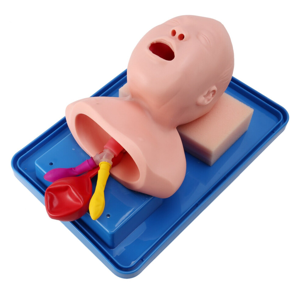 Neonatal Tracheal Intubation Model Analog Double Lung and Stomach ...