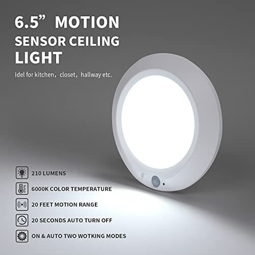 Motion Sensor Ceiling Light,Battery Operated Sensor Light Indoor,6.5 ...