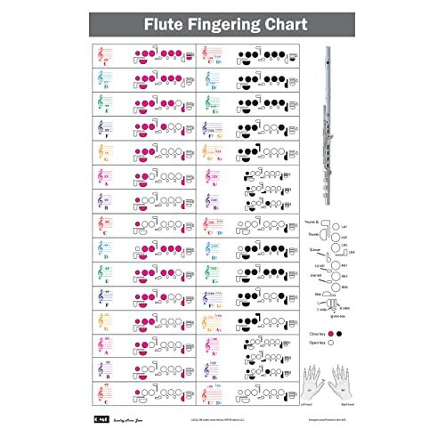Flute Fingering Chart with Color-Coded Notes, Learn Flute Technique ...
