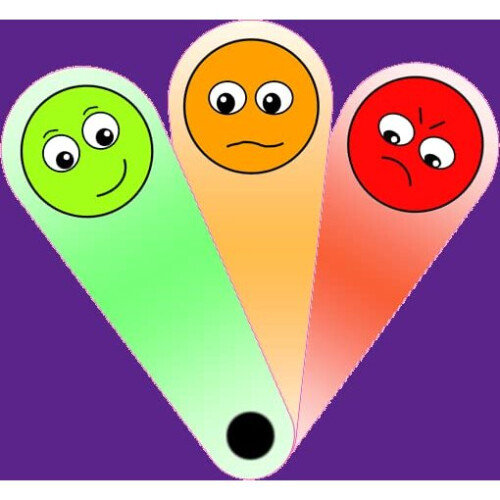 Traffic Light Feelings Emotions & Behaviour Fan - ASD / Autism / SEN ...