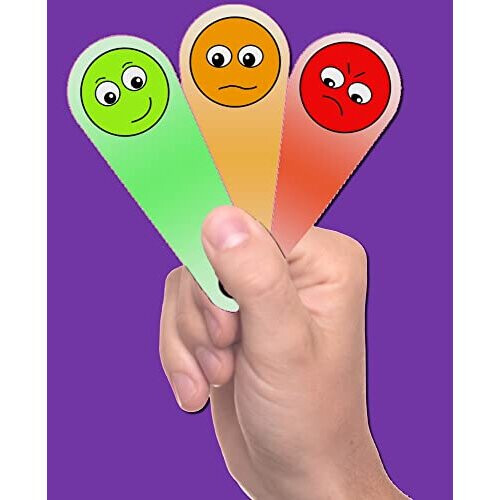 Traffic Light Feelings Emotions & Behaviour Fan - ASD / Autism / SEN ...