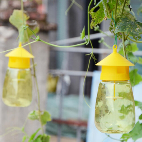 Reusable Fruit Fly Trap Killer Yellow Cage Drosophila Trap Fly Catcher on OnBuy