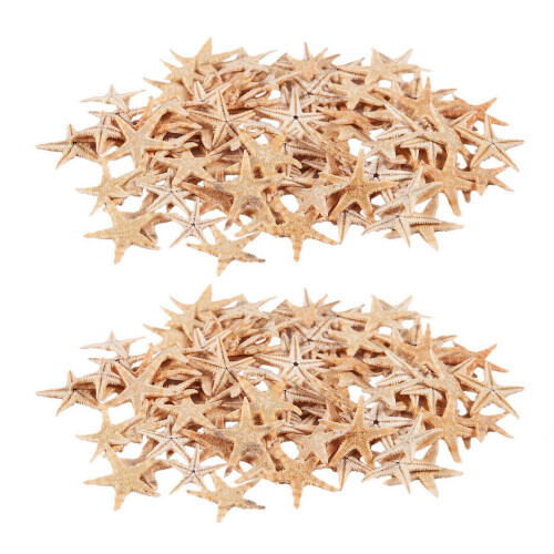 Small Starfish Star Sea Shell Beach Craft 0.4 inch-1.2 inch 180 Pcs on ...