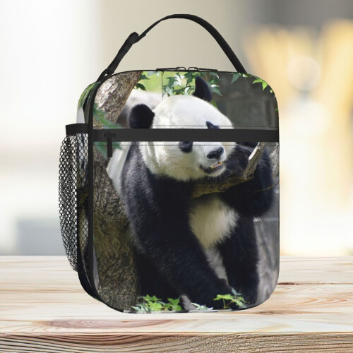 Lunch Bag Giant Panda Bei Bei At The National Zoo Tote Insulated Cooler ...