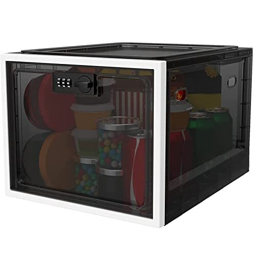 Lockable Box for Food, Medicine Storage Box with Lock, Transparent Lock ...