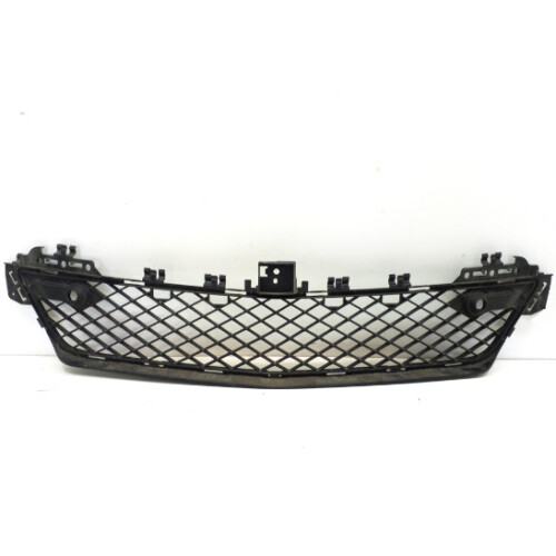 MERCEDES-BENZ C-CLASS W204 Front Bumper Lower Grille A2048851324 NEW ...