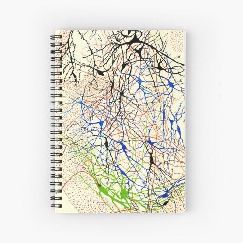 Spiral Notebook Santiago Ramón y Cajal Nerve Cells A5 120 Pages on OnBuy
