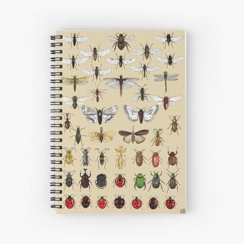 Spiral Notebook Entomology Insect studies collection A5 120 Pages on OnBuy