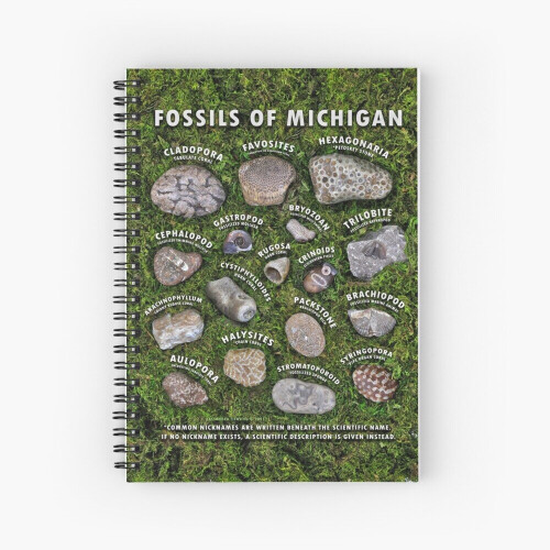Spiral Notebook Common Fossils of Michigan Identification Guide A5 120 ...