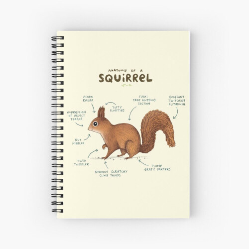 Spiral Notebook Anatomy of a Squirrel A5 120 Pages on OnBuy
