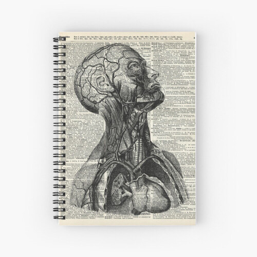 Spiral Notebook Medical Human Anatomy Illustration Over Old Book Page ...