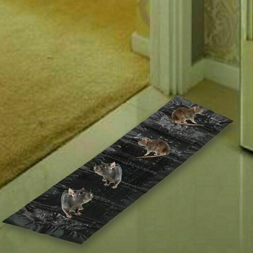 Mouse Mice Traps Rat Trap Bug Terminator Large Size Super Rat Snake ...