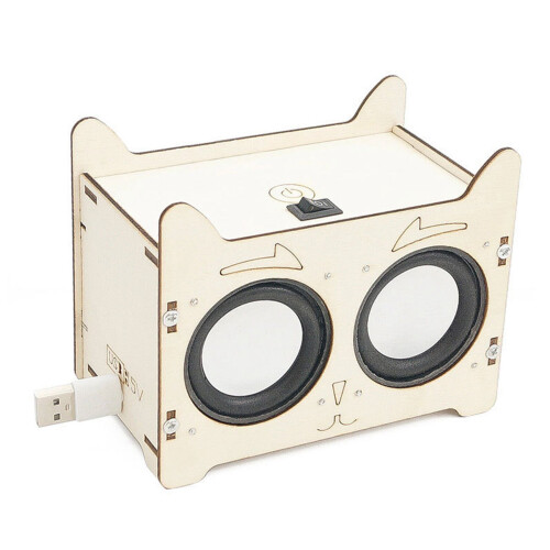 DIY Wireless Bluetooth Speaker Module DIY Bluetooth Speaker Making ...