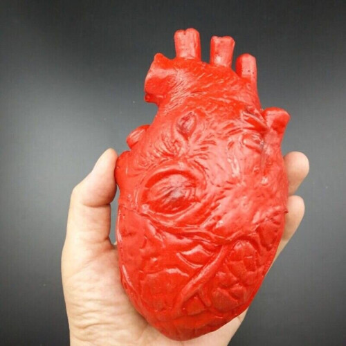 ( Heart) Gory Bloody Fake Brain Broken Limbs Horror Prank Halloween ...