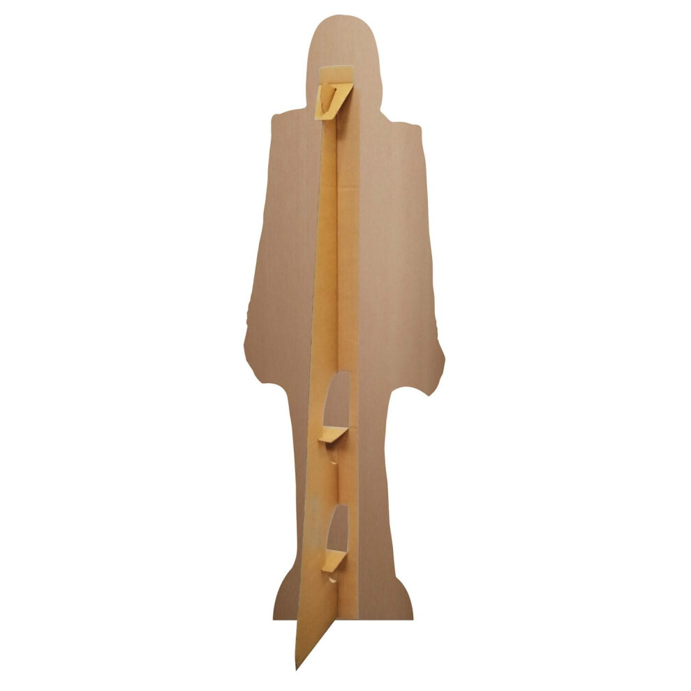 Cardi Celebrity Singer Lifesize Cardboard Cutout / Standee on OnBuy