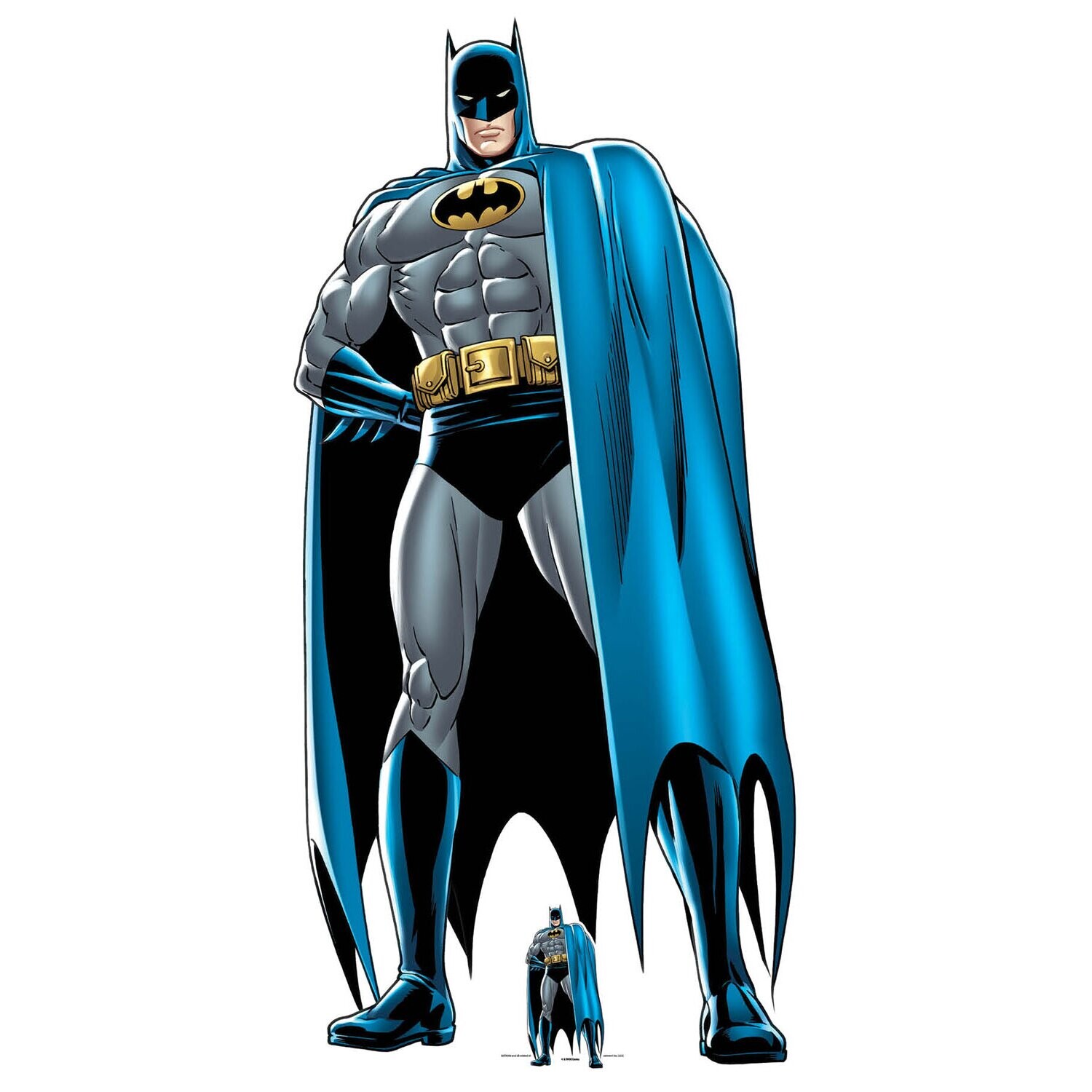 Batman Cape Comic Lifesize Cardboard Cutout Superhero Standup on OnBuy