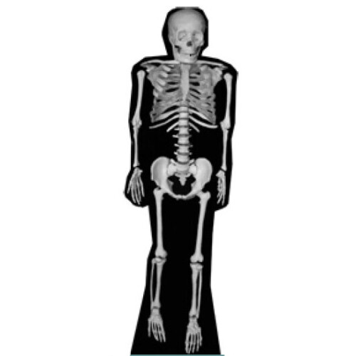 Skeleton (Halloween) - Lifesize Cardboard Cutout / Standee on OnBuy