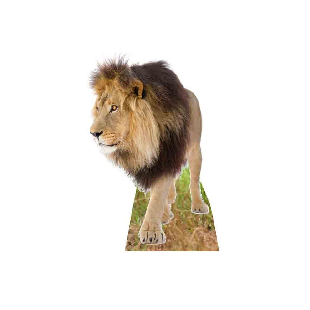 Lion - Lifesize Cardboard Cutout / Standee on OnBuy