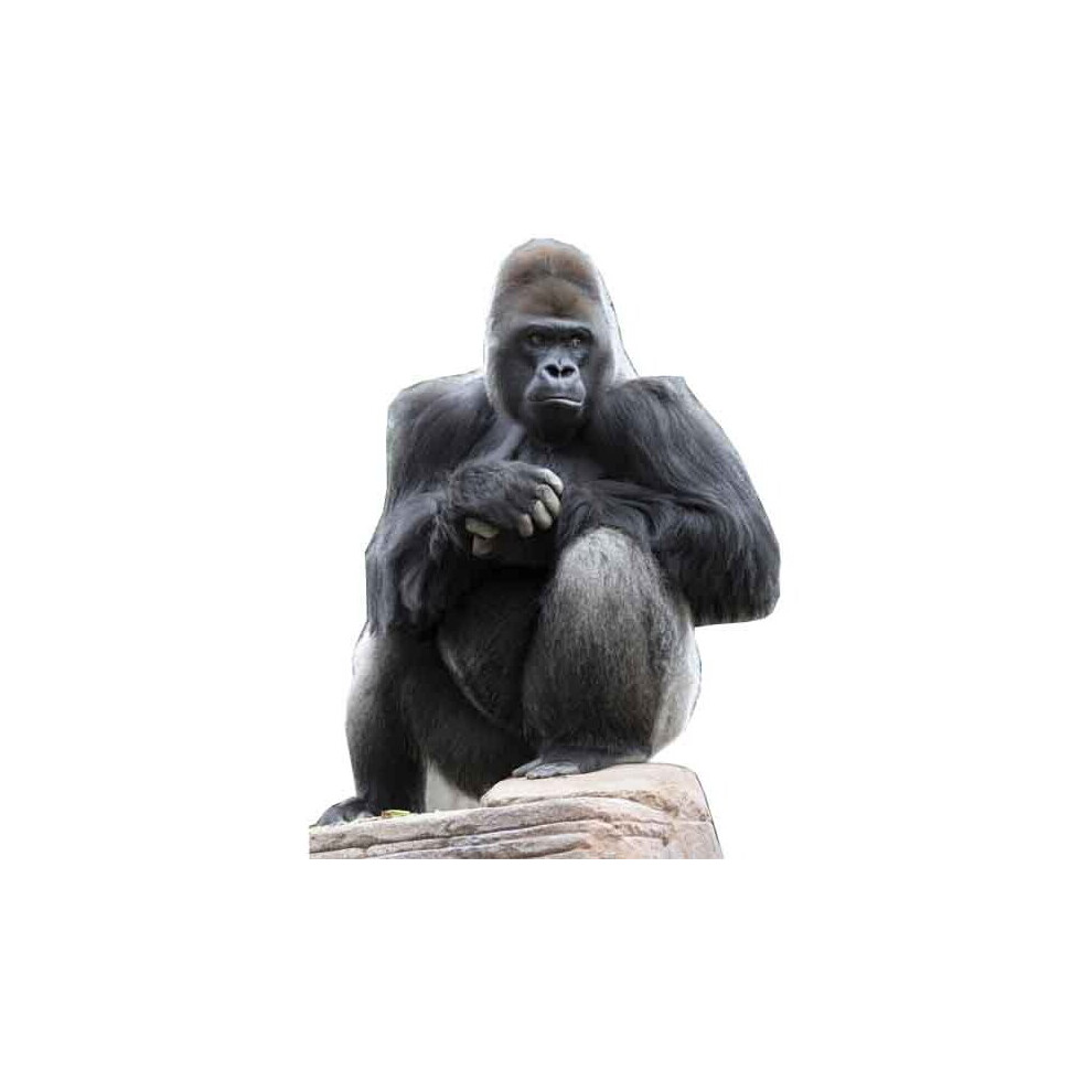 Gorilla - Lifesize Cardboard Cutout / Standee on OnBuy