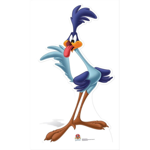 Road Runner Cardboard Cutout / Standee / Standup on OnBuy