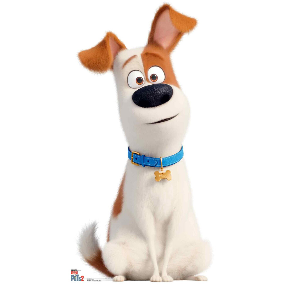 Max from The Secret Life Of Pets 2 Cardboard Cutout / Standee / Standup ...