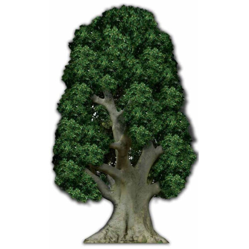 Large Tree - Cardboard Cutout / Standee on OnBuy