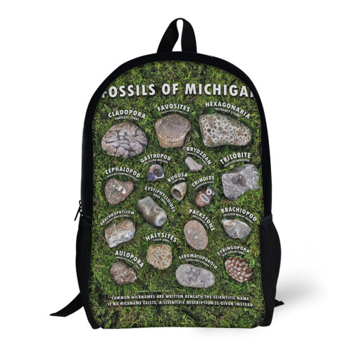 Backpacks Common Fossils of Michigan Identification Guide 17inch School ...