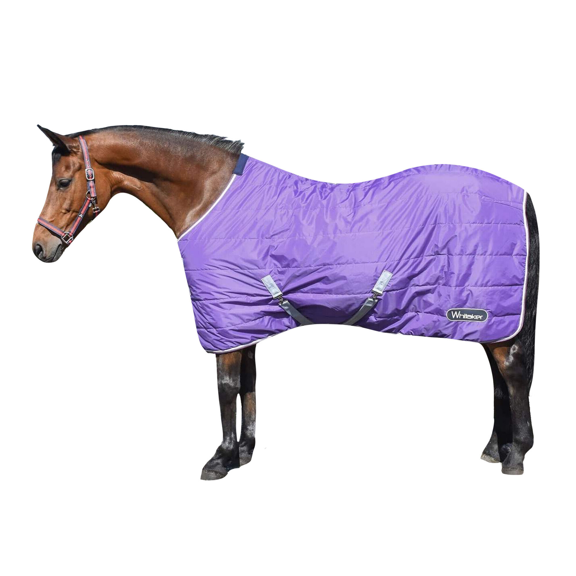 Whitaker Crompton Standard-Neck Horse Stable Rug on OnBuy