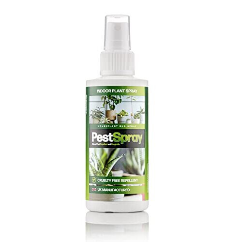 Houseplant Bug Spray, PestSpray, Natural Pest Repellent & Fungicide ...