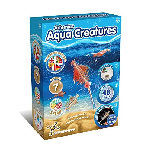 Artemias Aquatic Sea Creatures (Triops family) - Grow Your Own Water ...