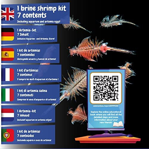Artemias Aquatic Sea Creatures (Triops family) - Grow Your Own Water ...
