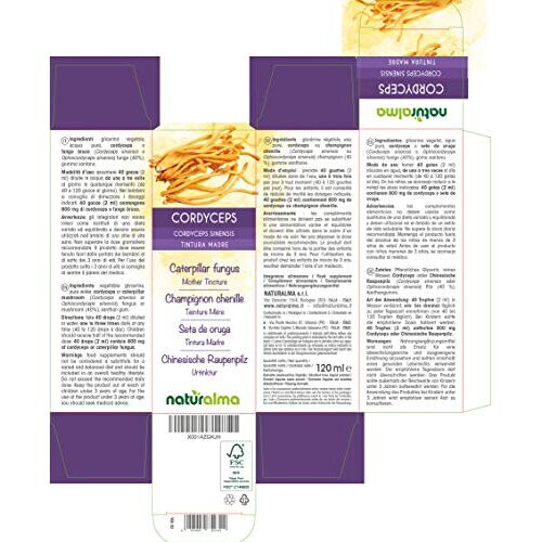 Cordyceps Or Caterpillar Mushroom Cordyceps Sinensis Or Ophiocordyceps
