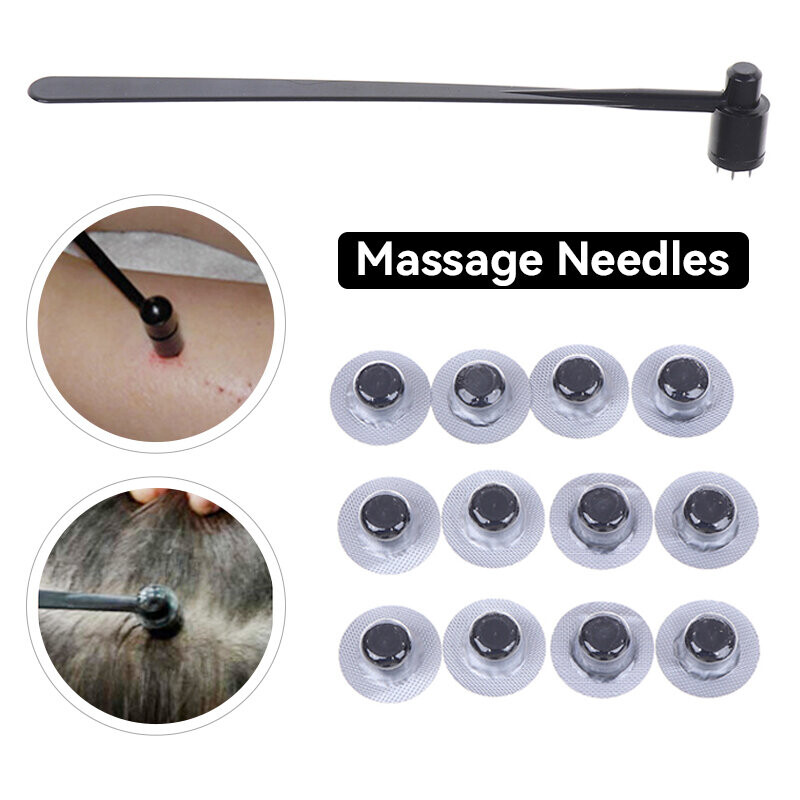 Double Head Chinese Acupuncture Needle Needle Seven Star Dermal Needle ...