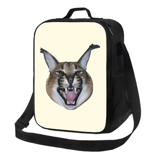 Kids Lunch Bag Big Floppa Angry Insulated Tote Box for Girls Boys Back ...