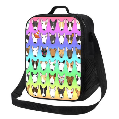 Kids Lunch Bag Rainbow Bully Squad Insulated Tote Box for Girls Boys ...