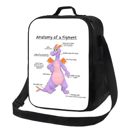 Kids Lunch Bag Anatomy Of A Figment Insulated Tote Box for Girls Boys ...