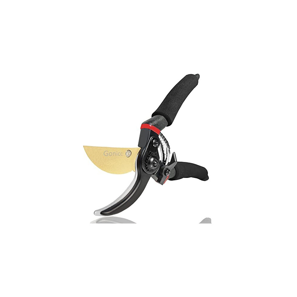 Gonicc pruners store