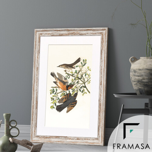 (Walnut Frame White Mount, A3 Pic (A2 Frame)) Vintage Distressed Walnut ...