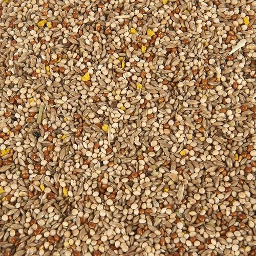Premium Budgie Food Mix 1kg on OnBuy