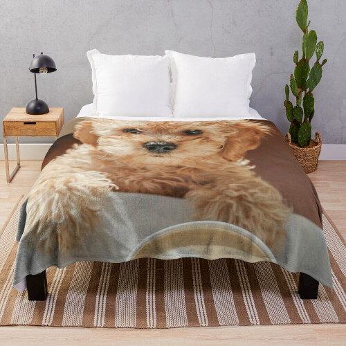 Fleece Throw Blanket Cute Dog "cockapoo" Coffee Design for Sofa Couch ...