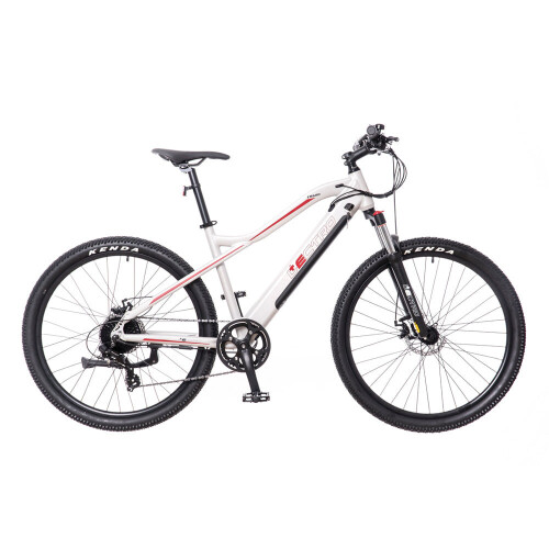 Lectro EM-600 PRO Series, Alloy E-Bike, 8 Speed, Inbuilt Battery Design ...