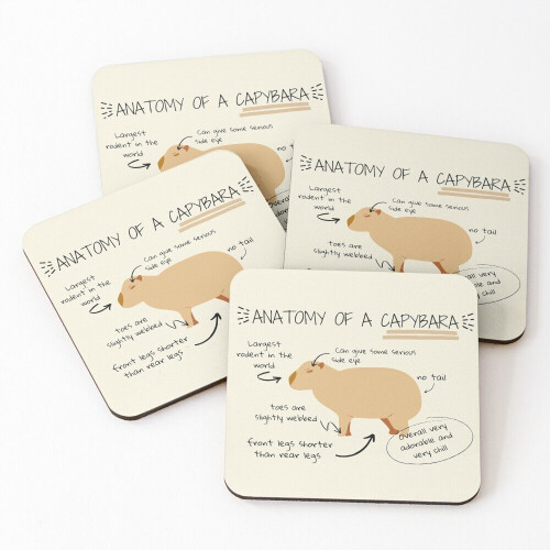 Leather Coasters Anatomy of a capybara Set of 4 / 4 x 4 inch on OnBuy